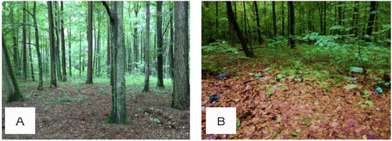 Exposure to Waste Might Decrease Relaxation: The Effects of Viewing an ...