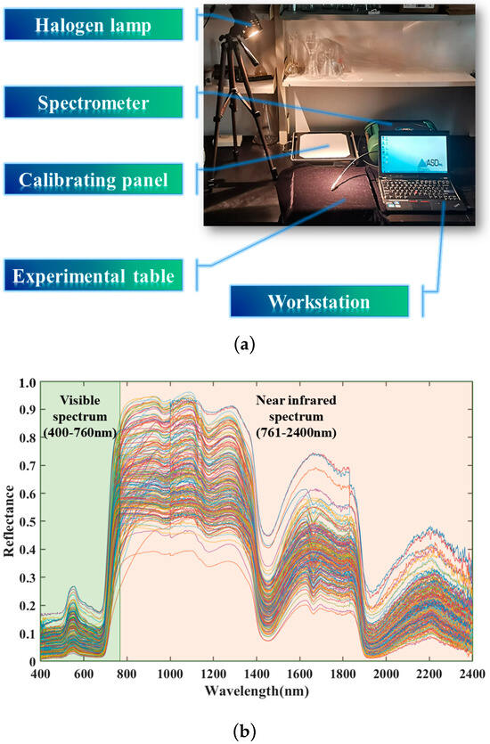 Detection Model and Spectral Disease Indices for Poplar (Populus L ...