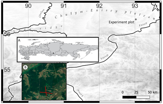Forests | Free Full-Text | Assessing the Flight Potential of the Four ...