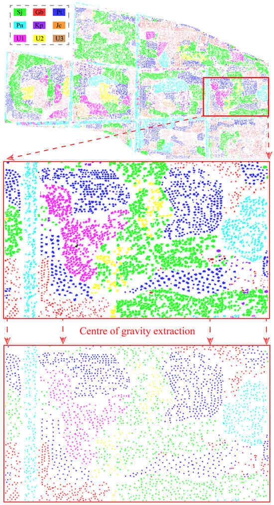 Satellite Remote Sensing Images of Crown Segmentation and Forest ...
