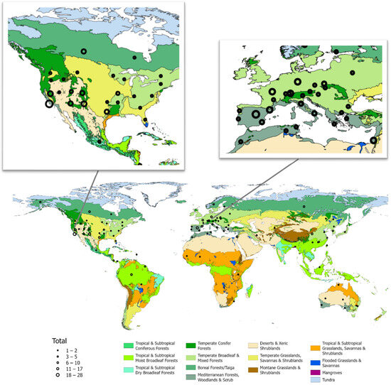 Forests | Free Full-Text | Understanding Tree Mortality Patterns: A Comprehensive Review of ...