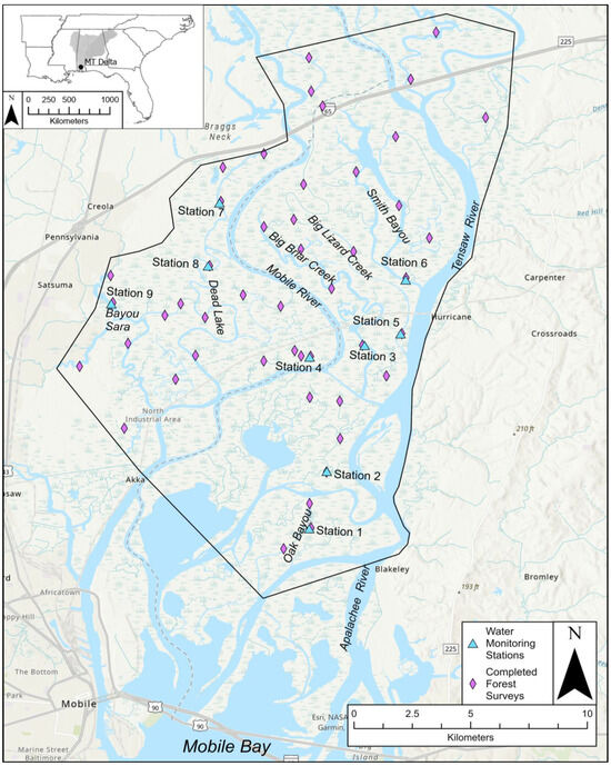 Tidal Freshwater Forested Wetlands in the Mobile-Tensaw River Delta ...