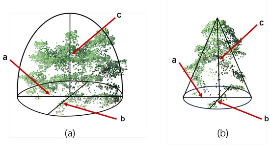 YOLOTree-Individual Tree Spatial Positioning and Crown Volume ...