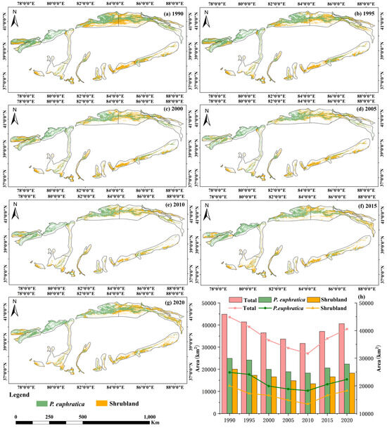Spatial–Temporal Changes in the Distribution of Populus euphratica Oliv. Forests in the Tarim ...
