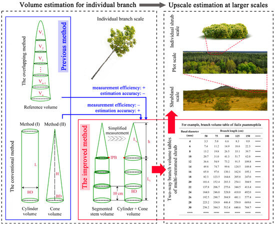 Improved Branch Volume Prediction of Multi-Stemmed Shrubs: Implications ...