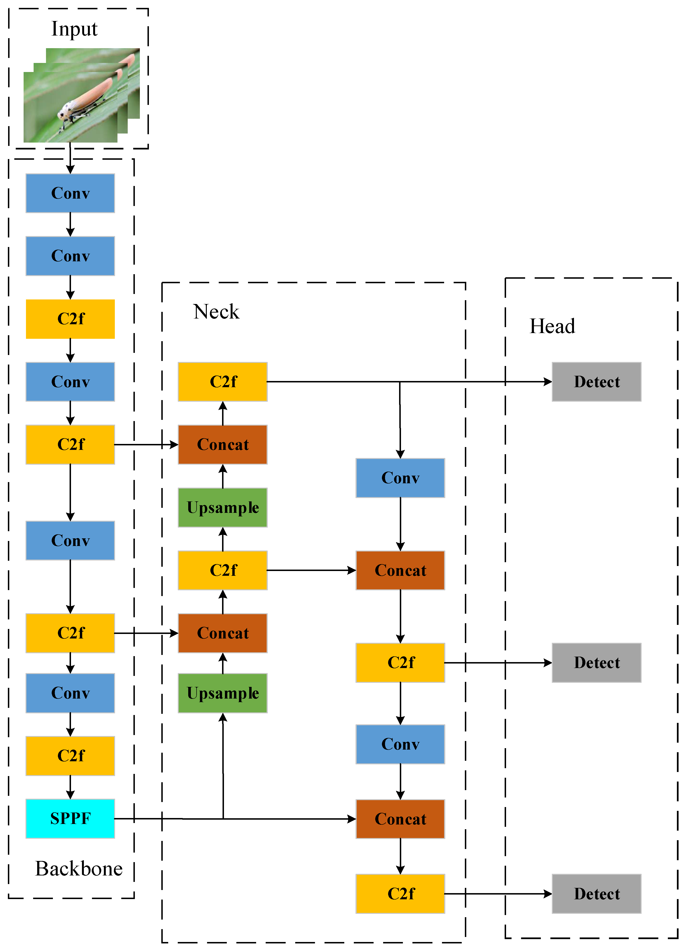 GLU-YOLOv8: An Improved Pest and Disease Target Detection Algorithm Based on YOLOv8