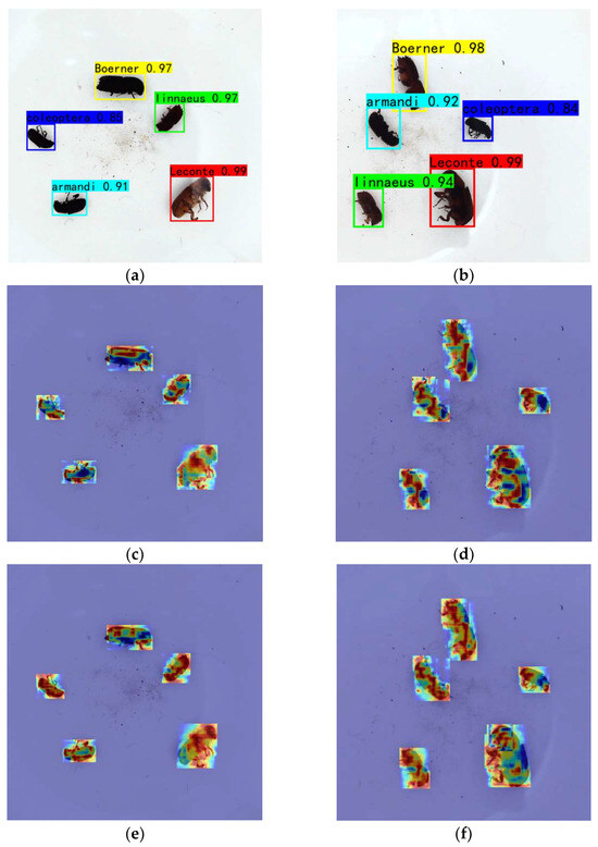 GLU-YOLOv8: An Improved Pest and Disease Target Detection Algorithm Based on YOLOv8