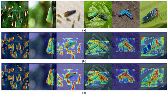 GLU-YOLOv8: An Improved Pest and Disease Target Detection Algorithm Based on YOLOv8