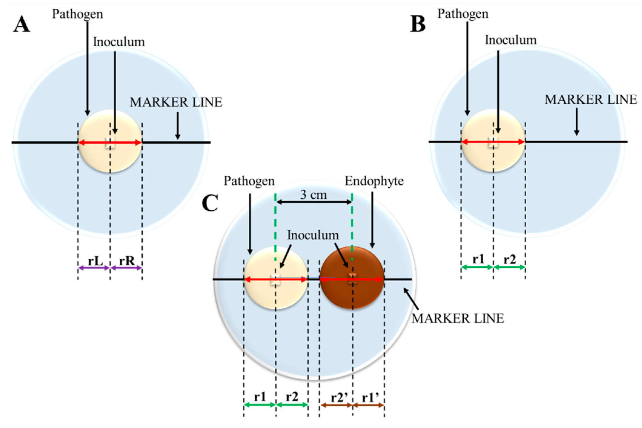 Vitality and Inhibition Parameters in the Analysis of Dual Fungal ...