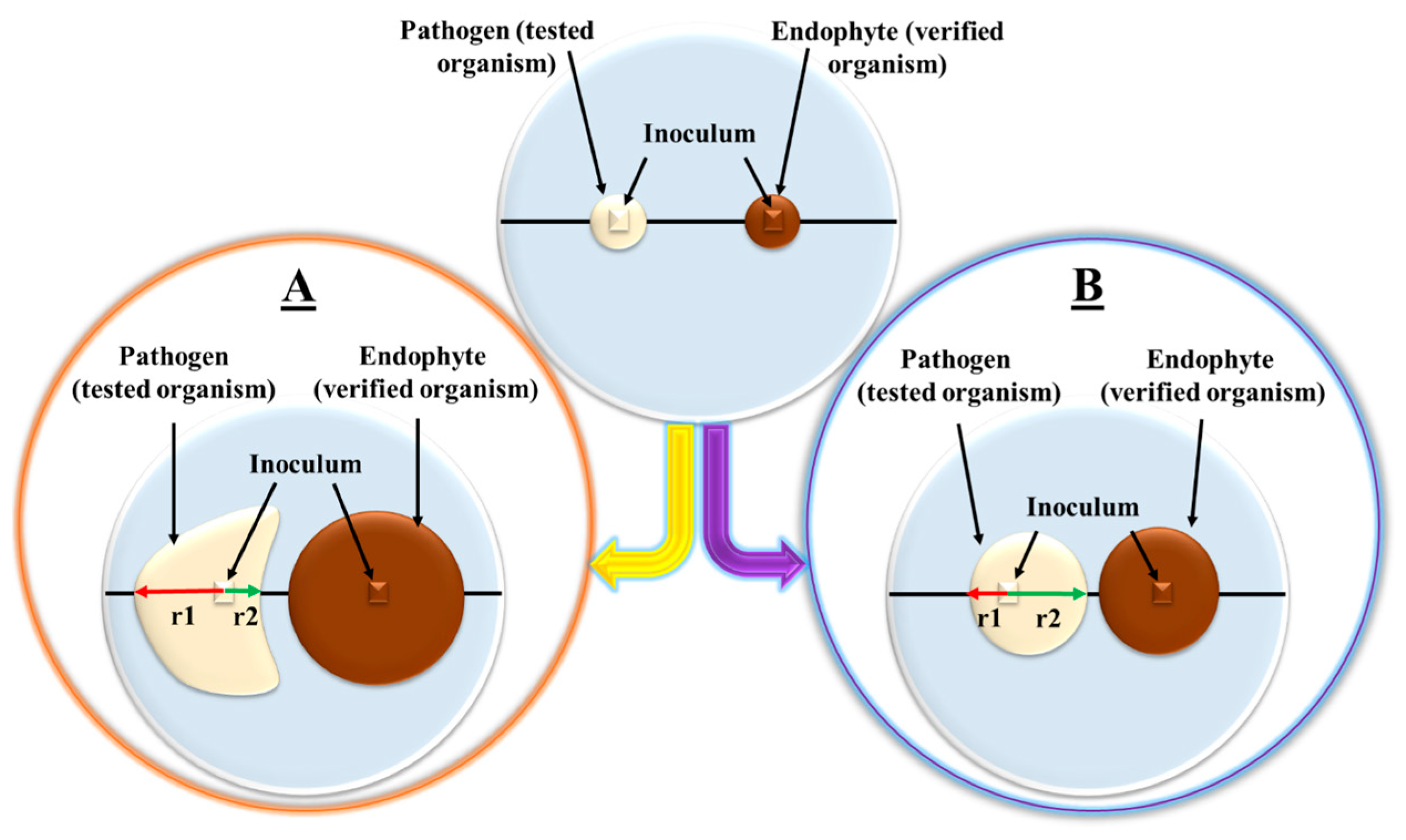Vitality and Inhibition Parameters in the Analysis of Dual Fungal ...