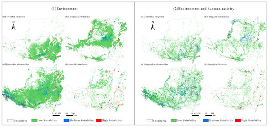 Suitability and Structural Optimization of Vegetation Restoration on the Loess Plateau: A MaxEnt ...