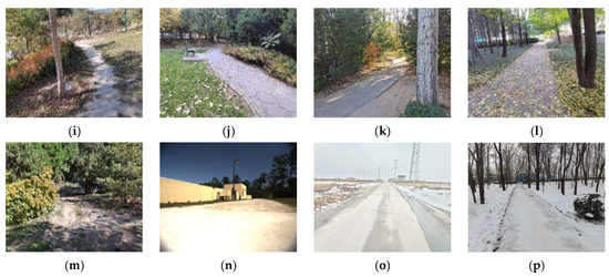 Lightweight Model Development for Forest Region Unstructured Road ...
