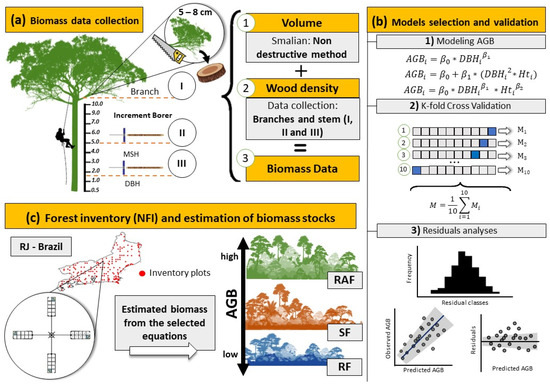 Biomass Equations and Carbon Stock Estimates for the Southeastern ...