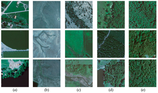 A Multi-Scale Deep Learning Algorithm for Enhanced Forest Fire Danger Prediction Using Remote ...
