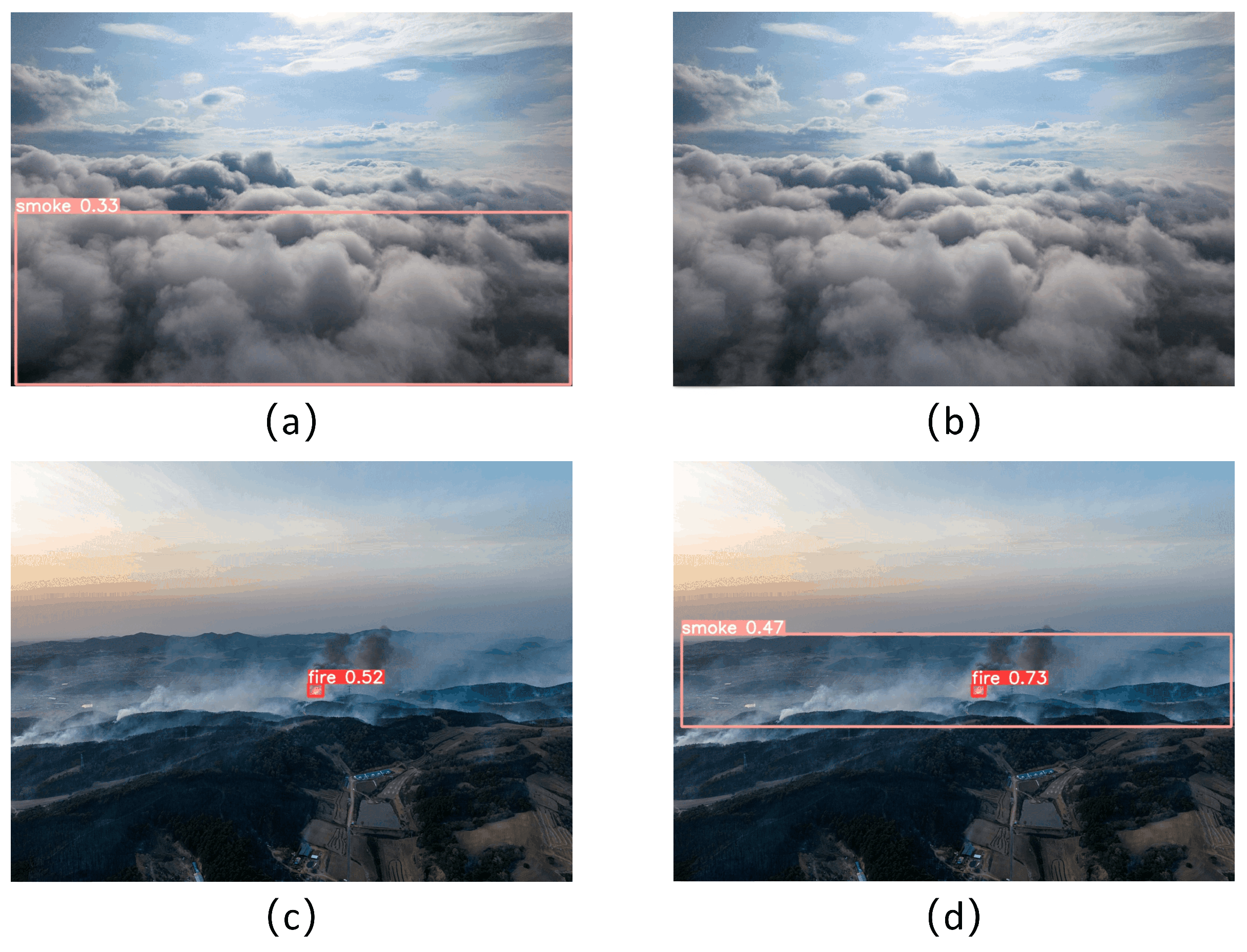 LD-YOLO: A Lightweight Dynamic Forest Fire and Smoke Detection Model ...
