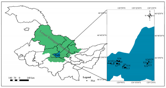 Optimizing Stand Spatial Structure at Different Development Stages in ...