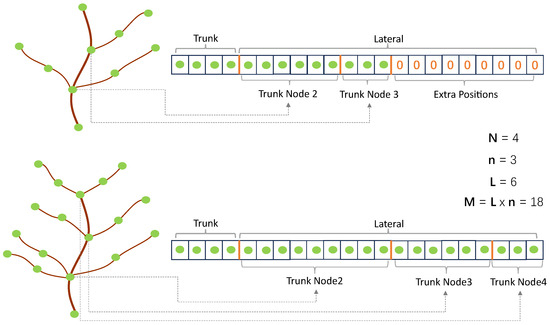 Automatic Method for Extracting Tree Branching Structures from a Single ...