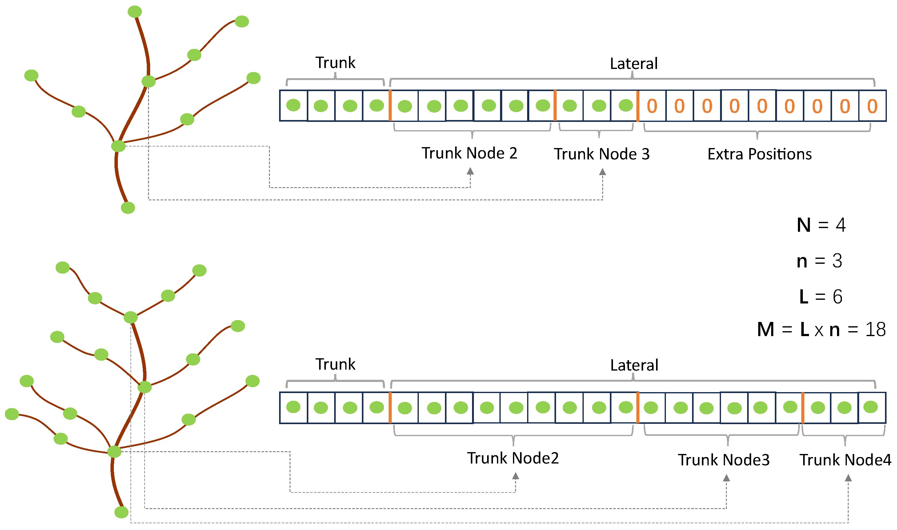 Automatic Method for Extracting Tree Branching Structures from a Single ...