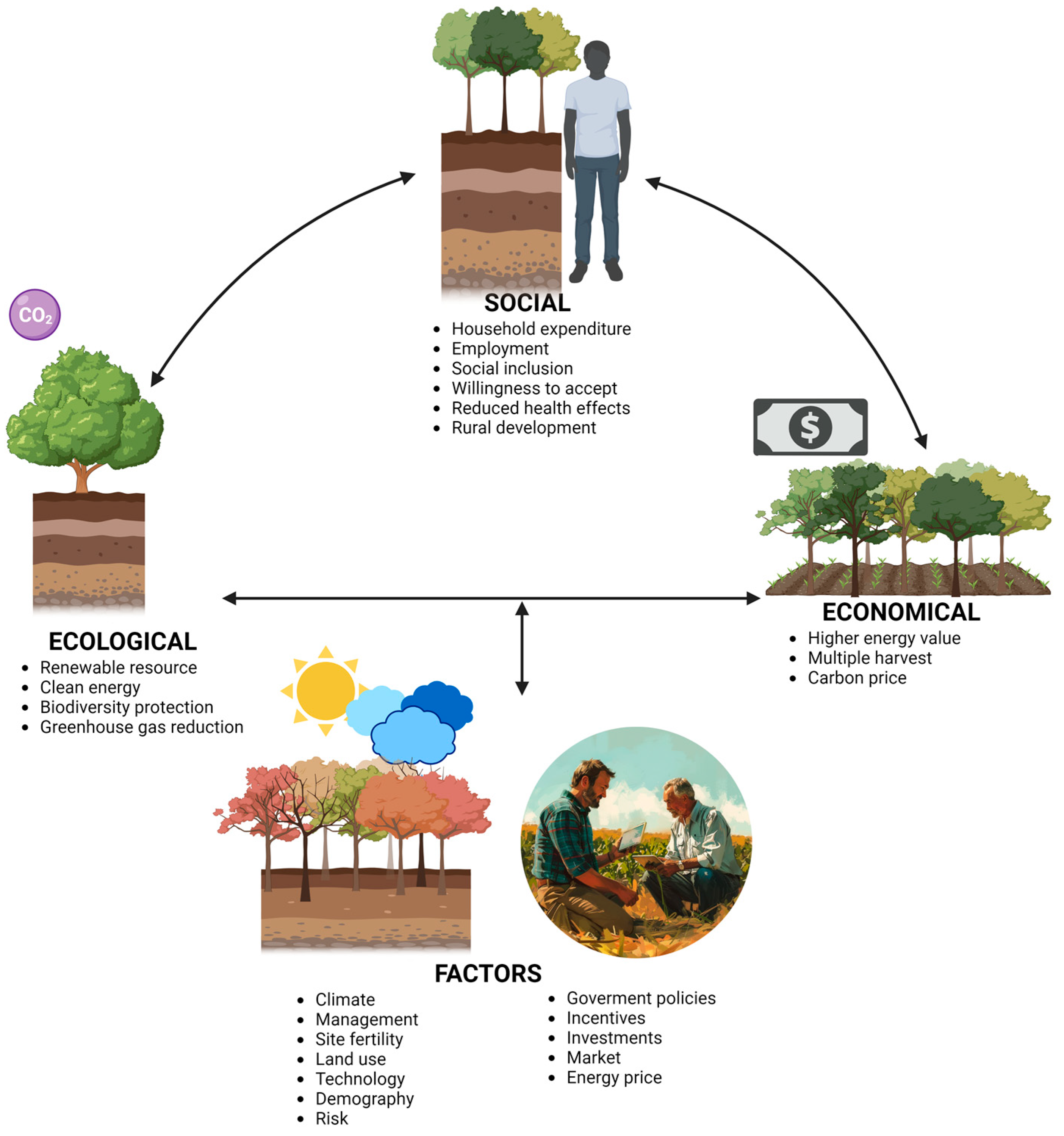 Wood-Based Bioenergy in North America: An Overview of Current Knowledge