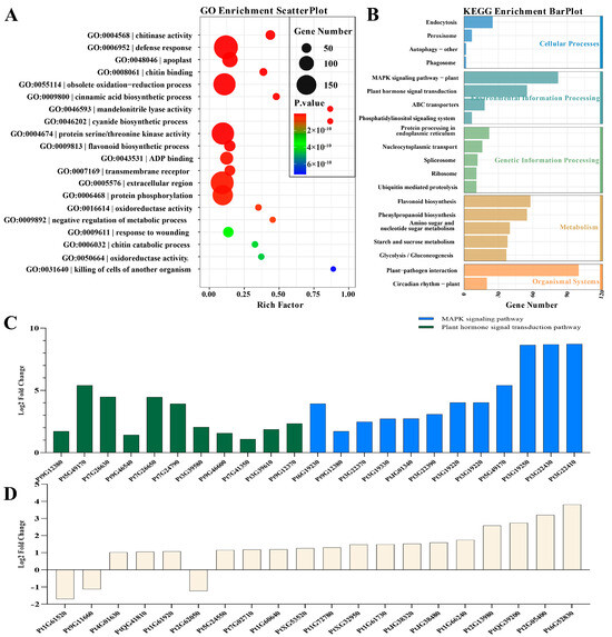 Tetramycin B3: An Effective and Biological Nematicide for ...
