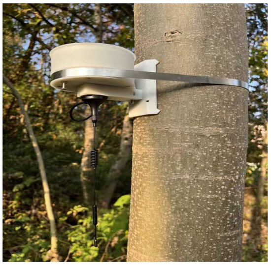 Development and Application of Tree Radial Measurement Device