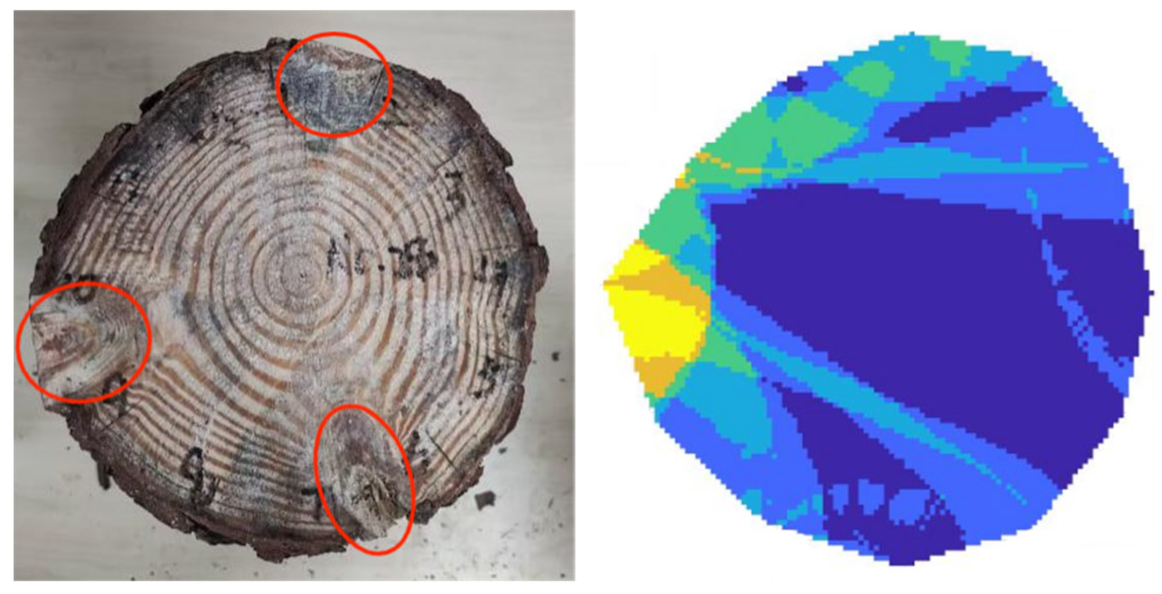 Study on Nondestructive Detection Imaging Method of Log Knot Based on ...
