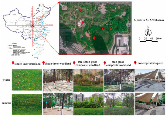 Human Physiological Responses to Sitting and Walking in Green Spaces ...