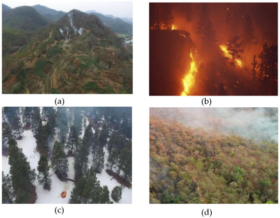 Mcan-YOLO: An Improved Forest Fire and Smoke Detection Model Based on YOLOv7