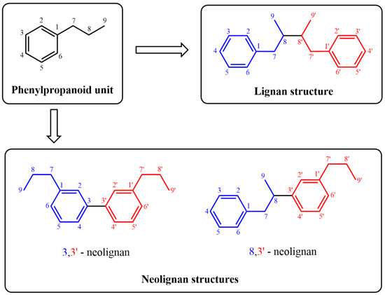 Multidimensional Exploration of Wood Extractives: A Review of ...
