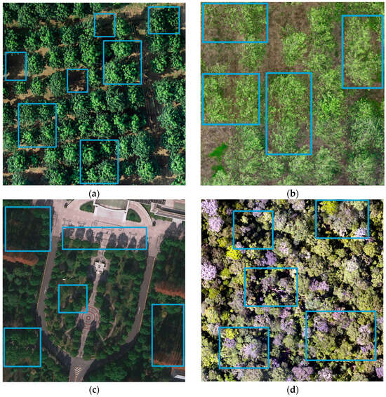 Tcsnet A New Individual Tree Crown Segmentation Network From Unmanned Aerial Vehicle Images
