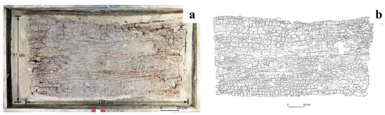 Menthol-Based Extraction of Fragile Wooden Coffin Lid (7–10th Centuries ...