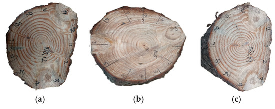 Research on Non-Destructive Testing of Log Knot Resistance Based on ...