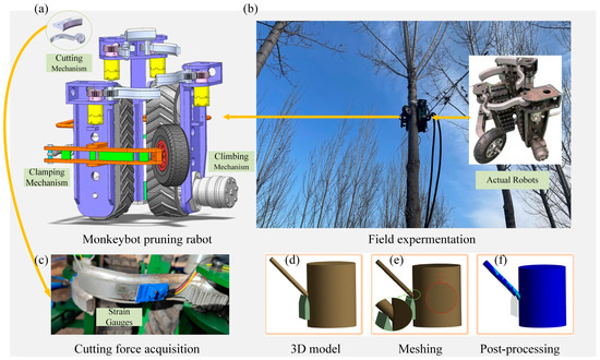 Tool–Branch Interaction Mechanism of Impact-Pruning Process Based on ...