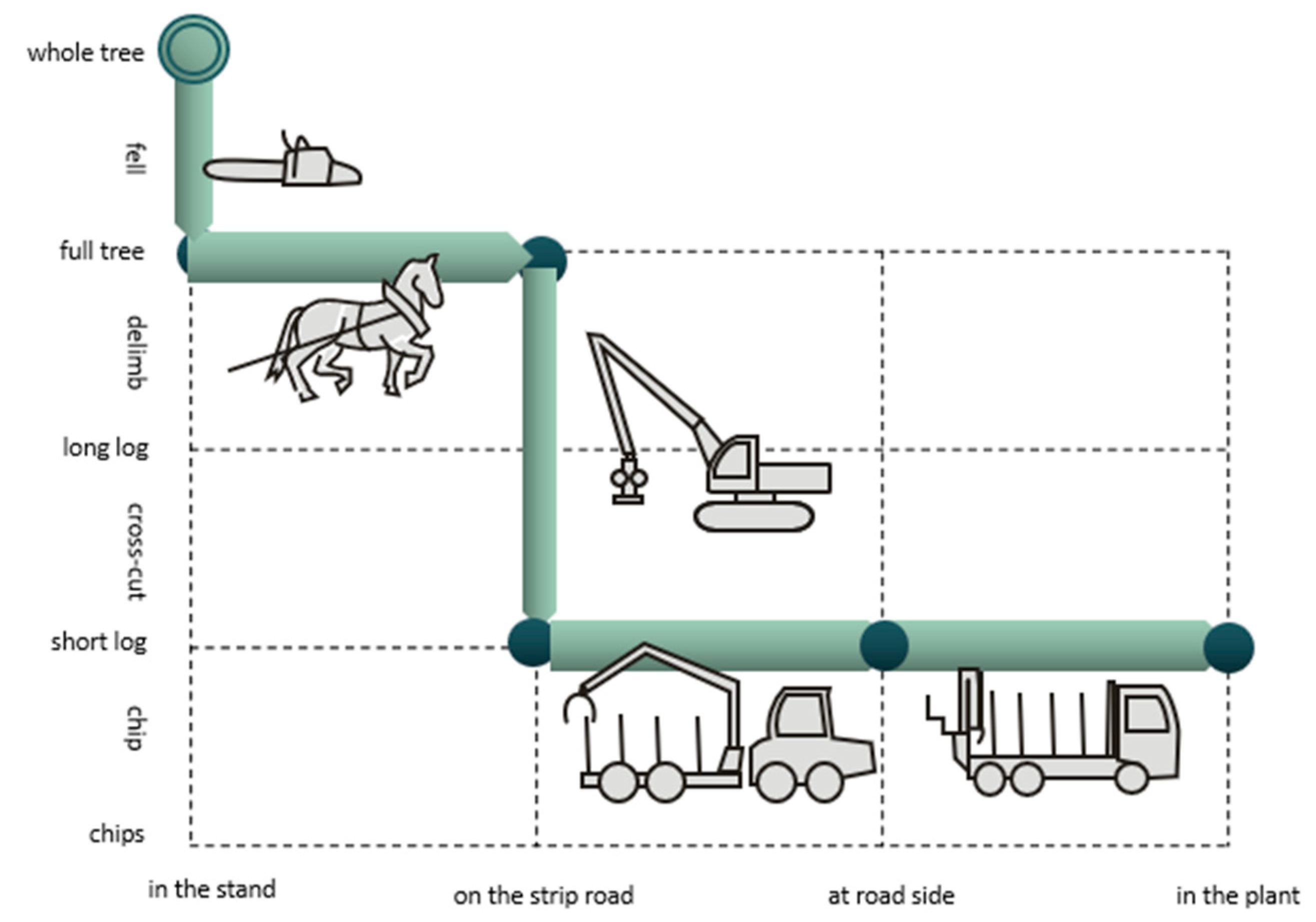 A Combination of Traditional and Mechanized Logging for Protected Areas