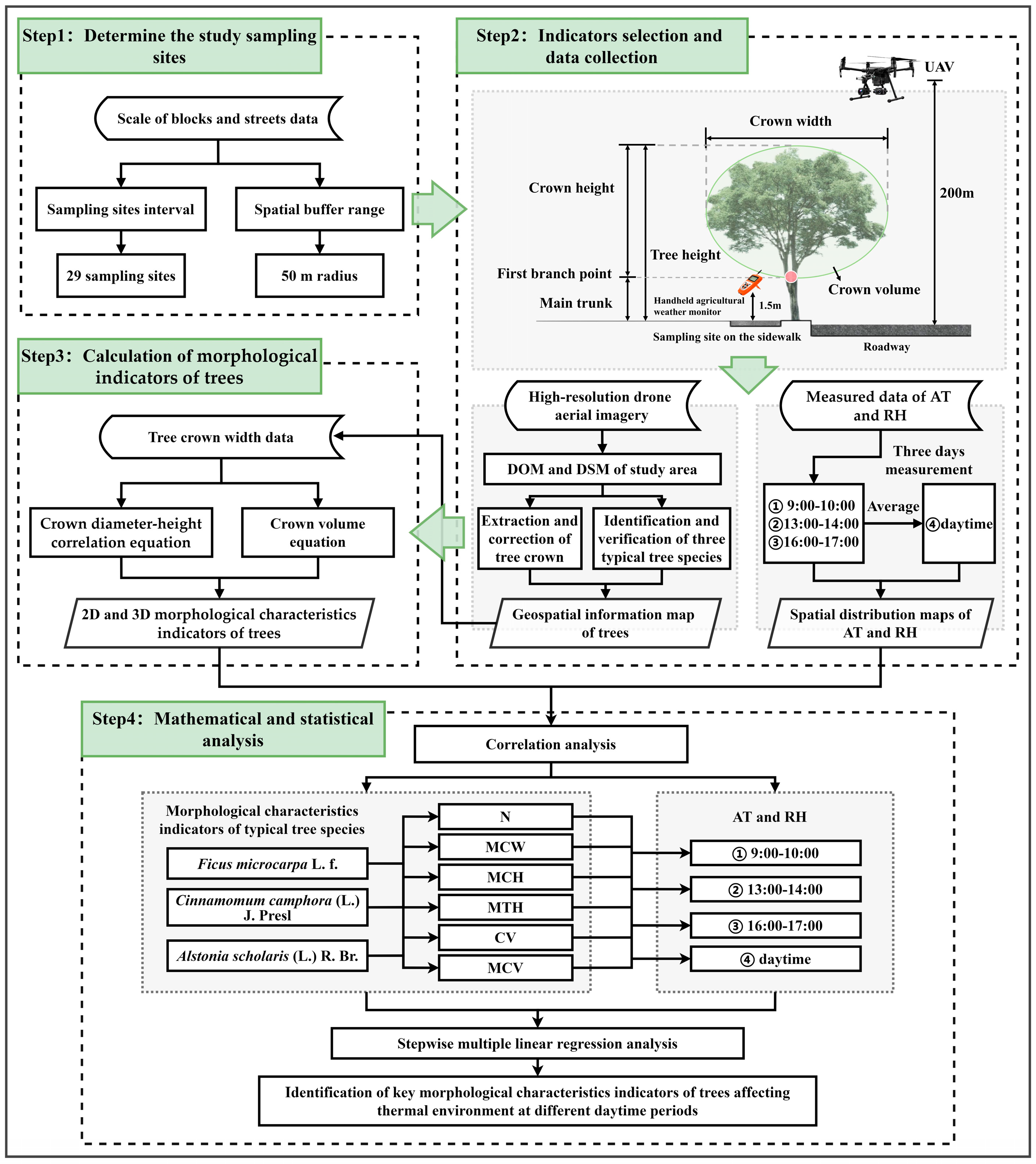 Effects of Urban Tree Species and Morphological Characteristics on the ...