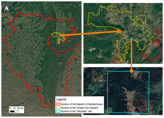 Carbon Sequestration at Different Stages of Succession During Pine ...