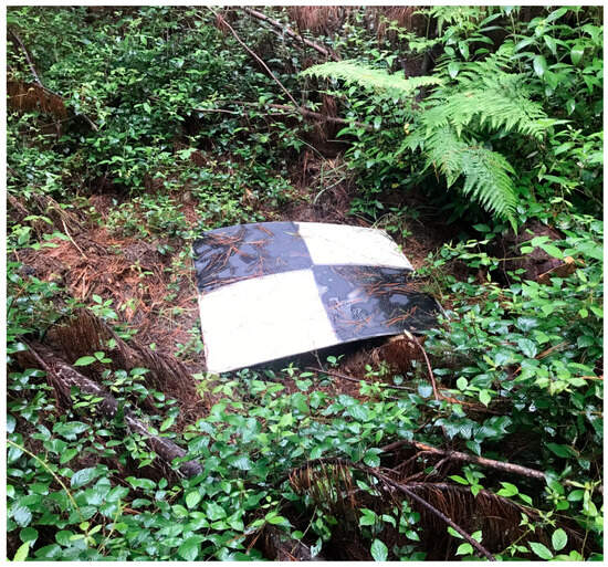 Effective UAV Photogrammetry for Forest Management: New Insights on ...