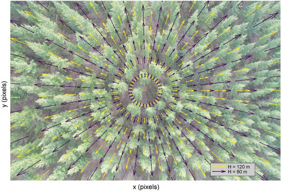 Effective UAV Photogrammetry for Forest Management: New Insights on ...