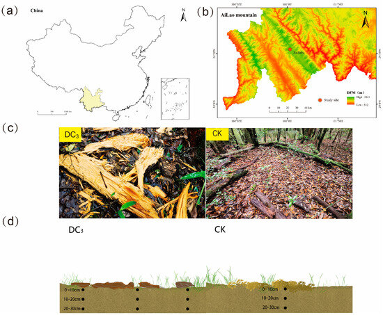 Effects of Downed Log Decomposition on Soil Properties and Enzyme ...