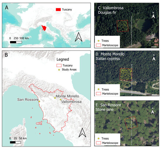 Efficiency of Mobile Laser Scanning for Digital Marteloscopes for ...