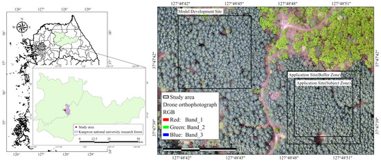 Selection of Trees for Thinning Using Machine Learning Algorithms and Competition Indices