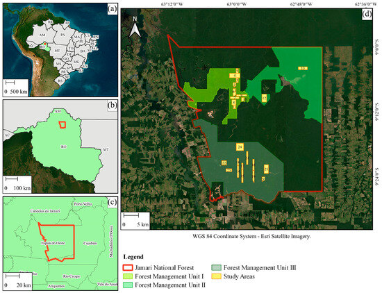 Assessing the Impacts of Selective Logging on the Forest Understory in the Amazon Using Airborne ...