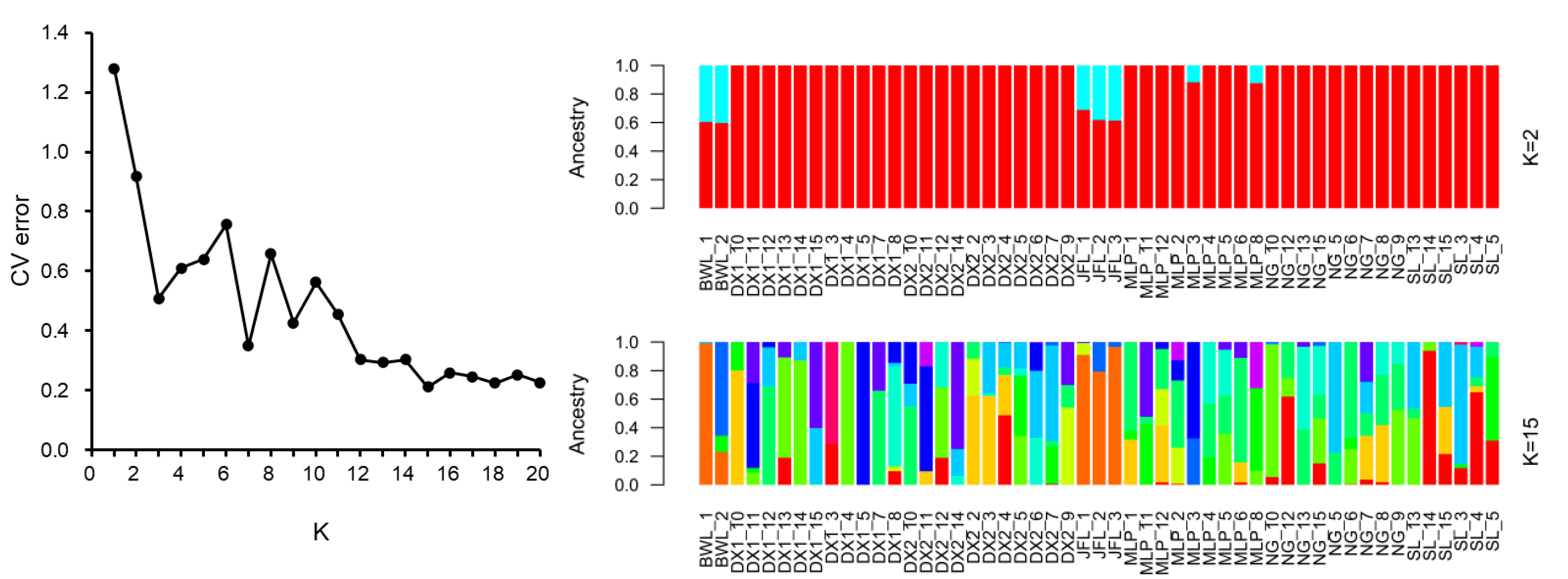 Single Nucleotide Polymorphism Markers Based on Hyper-Seq Revealed the Genetic Diversity and ...