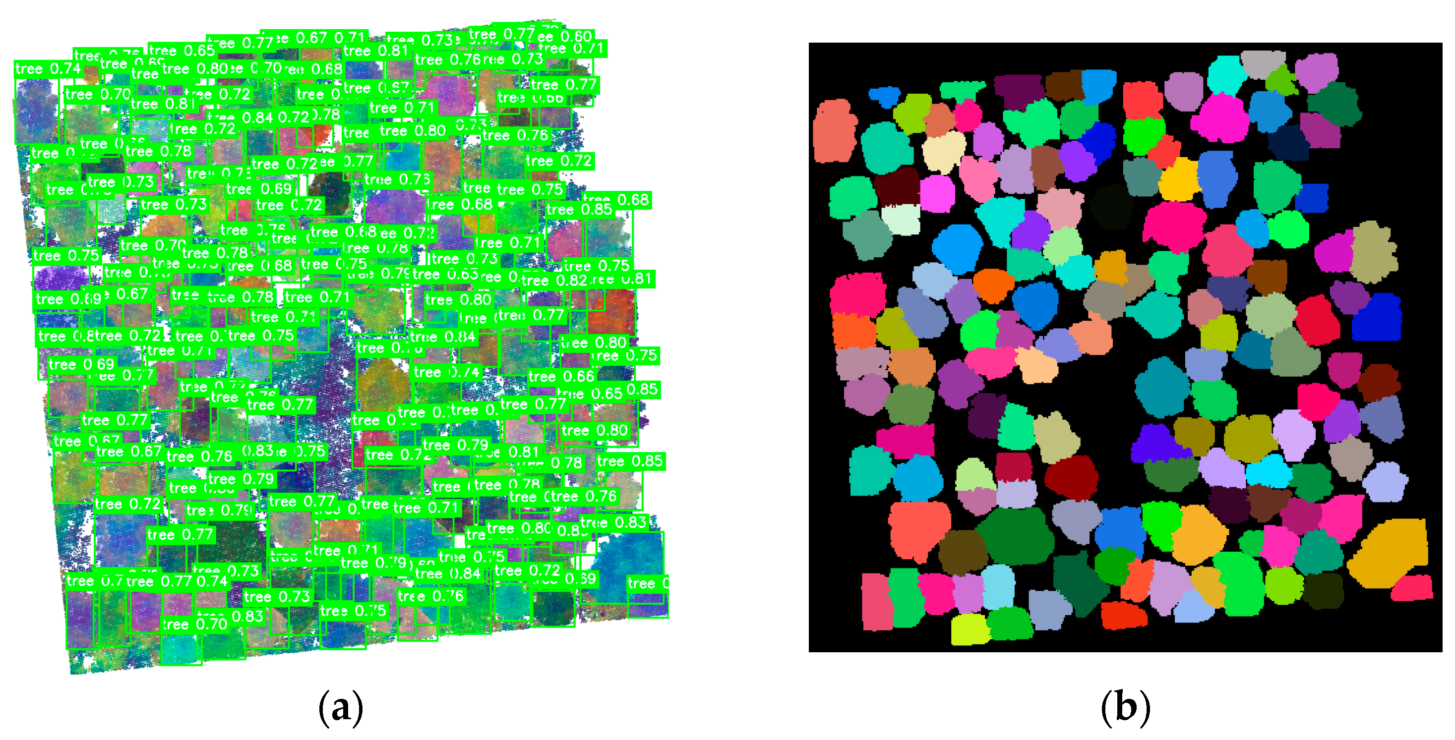 From Crown Detection to Boundary Segmentation: Advancing Forest ...