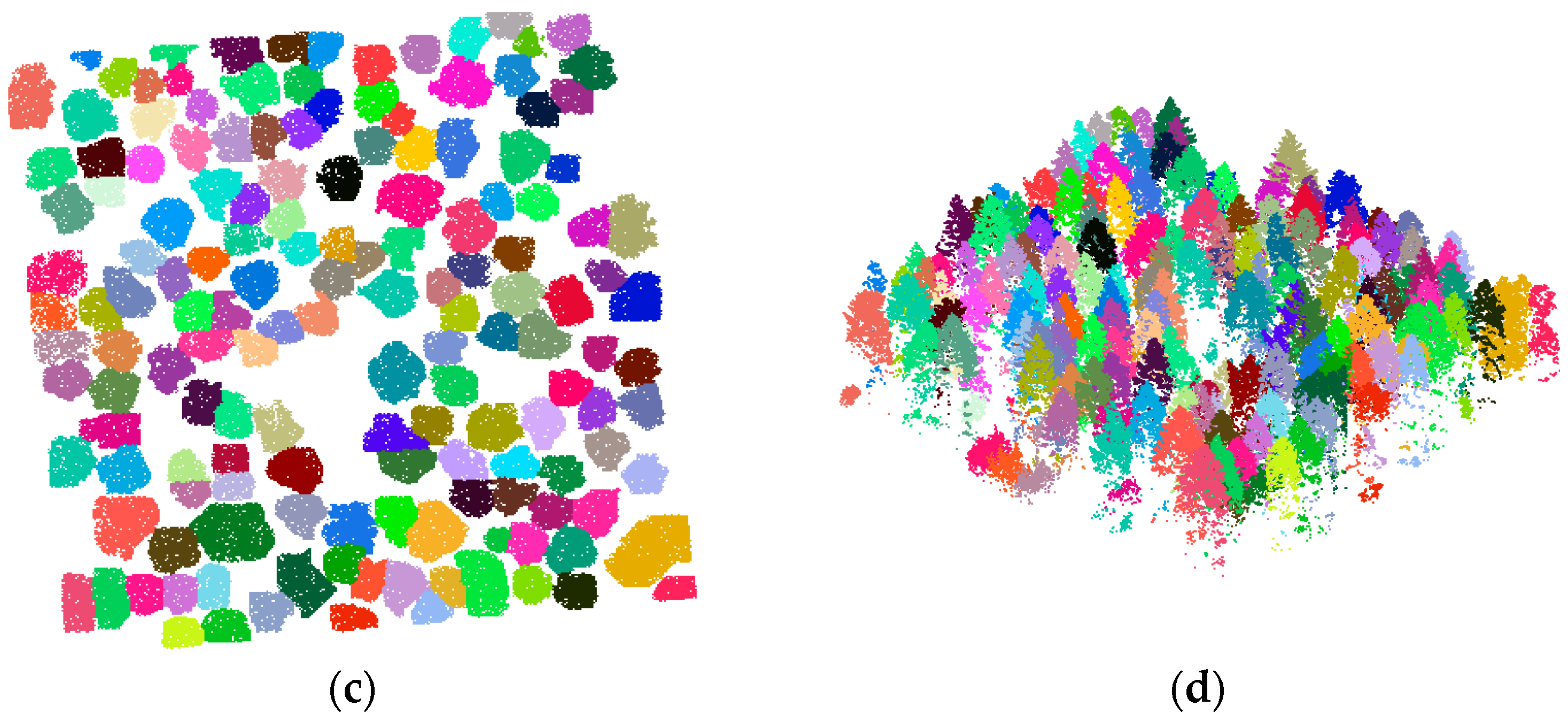 From Crown Detection to Boundary Segmentation: Advancing Forest ...
