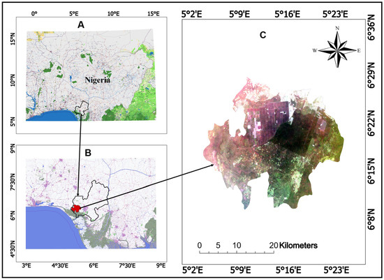Fractal Metrics and Connectivity Analysis for Forest and Deforestation Fragmentation Dynamics