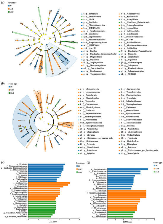 Response of Leaf Functional Traits and Rhizosphere Microbial ...