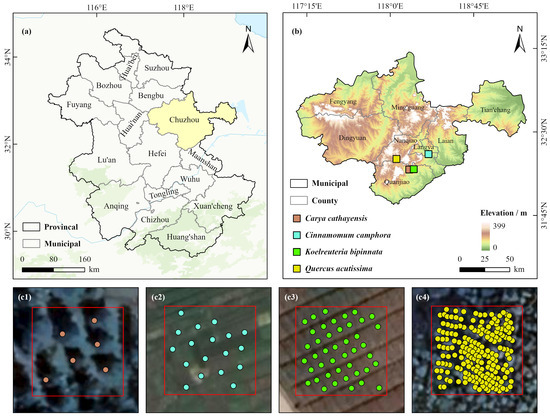 Impact of Backpack LiDAR Scan Routes on Diameter at Breast Height ...