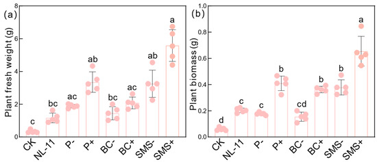 Solid Microbial Fertilizers Prepared with Different Carriers Have the ...