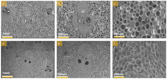 Physical and Mechanical Properties and Microstructure Characterization ...